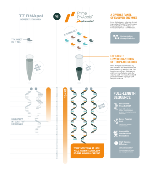 Prima Benefits - mRNA Manufacturing Solutions